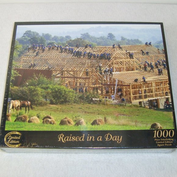 DYP Inc. | Games | New Doyle Yoder Amish Country Raised In A Day 00 ...